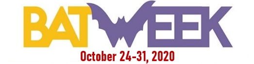 Bat Week 2020: Bat cultural symbolism in the Asia-Pacific region – Rimba